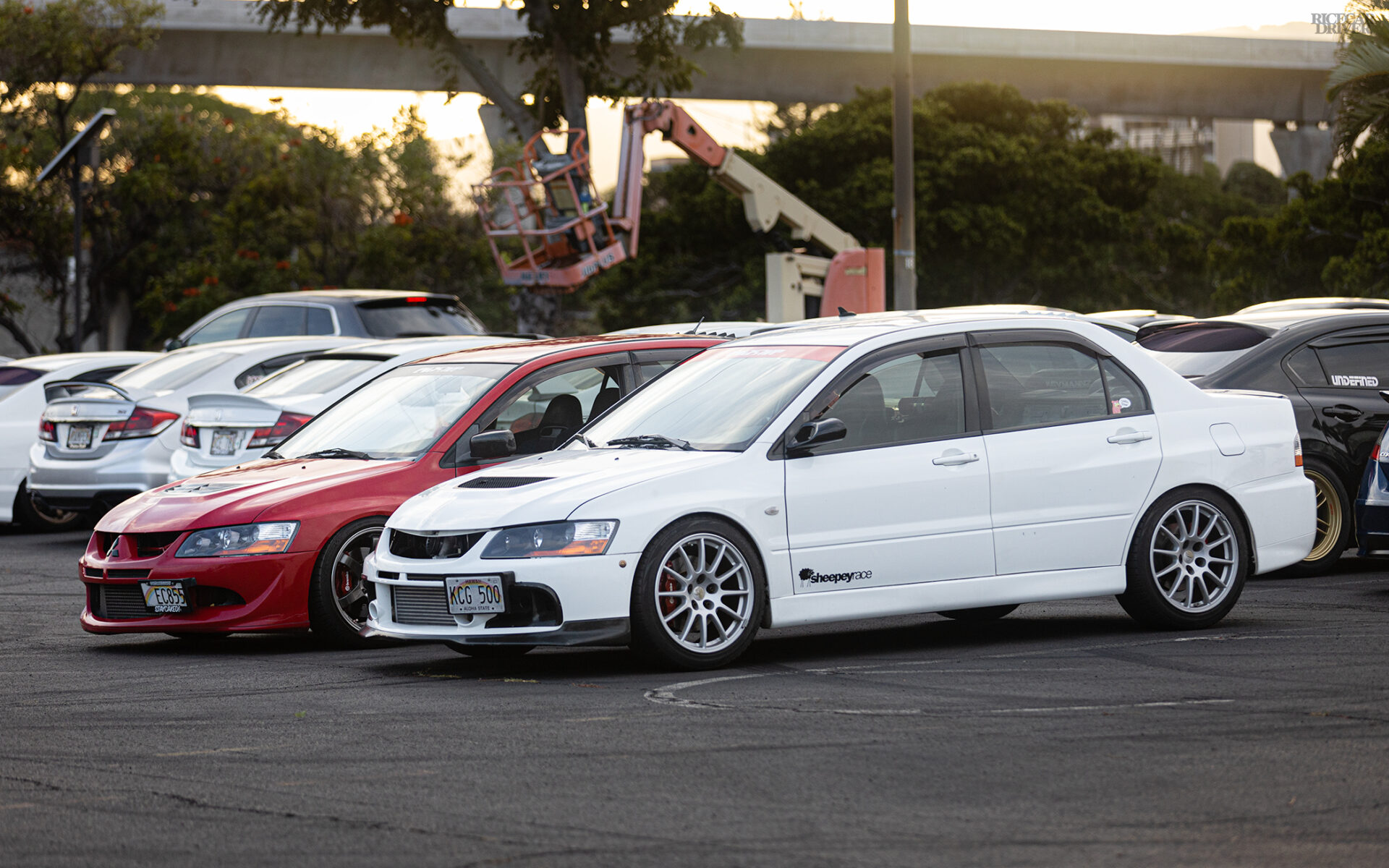 evos – RICECARDRIVER